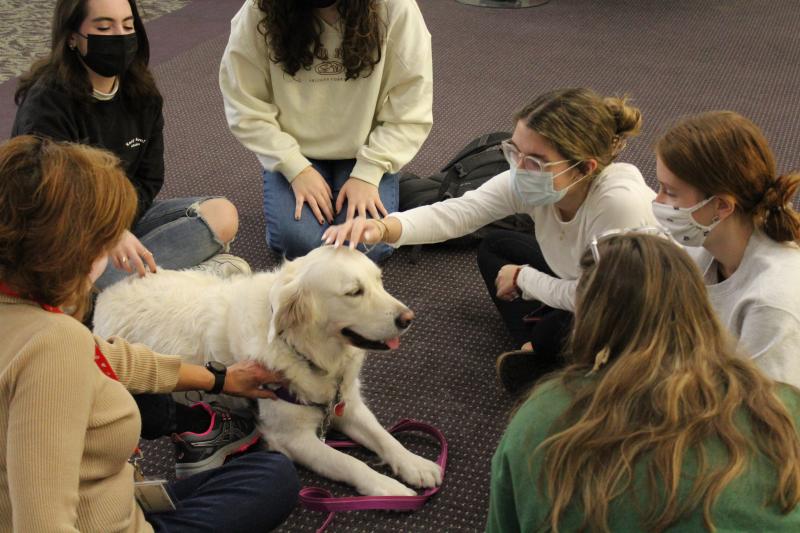 Finals Week Activities at Swem Library | William & Mary Libraries