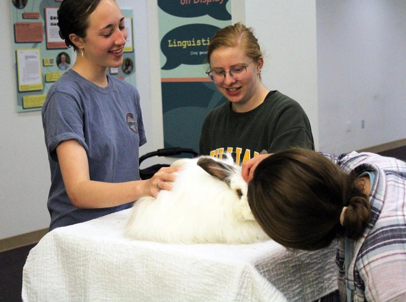 Finals Week Activities at Swem Library | William & Mary Libraries